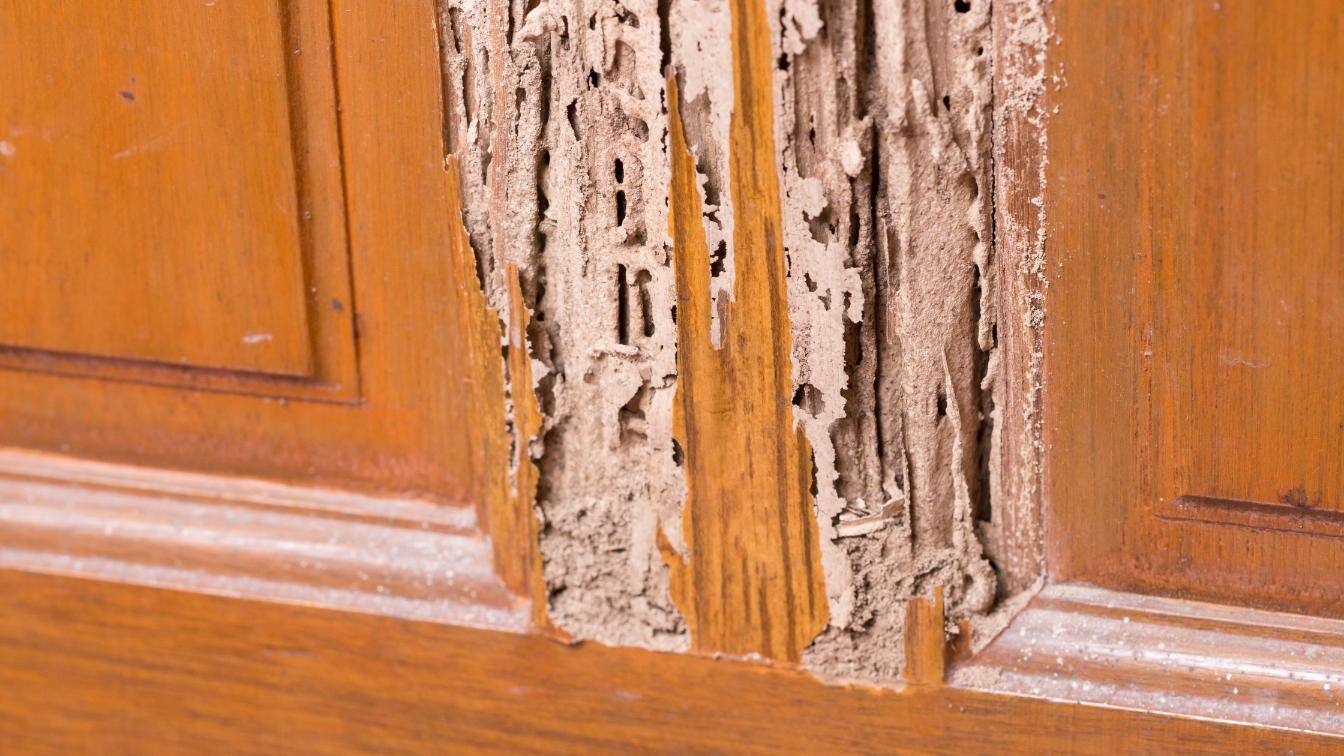 6 Problems With Spray Foam Insulation Explained