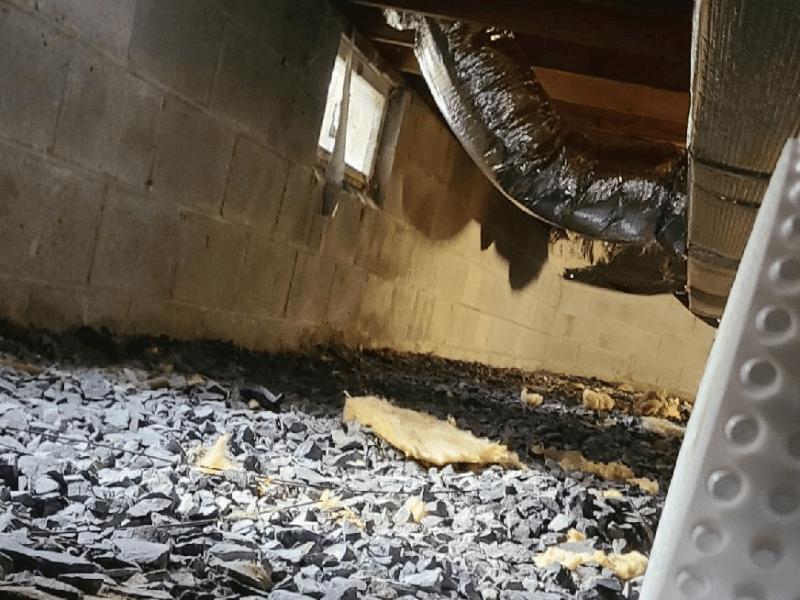 How To Keep Rodents Out Of Your Crawl Space